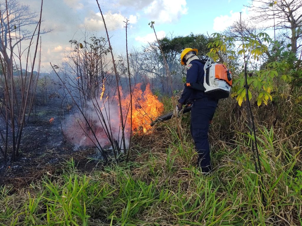 Incendios forestales: Conoce sus causas, consecuencias y cómo evitarlos – La Voz de Yopal